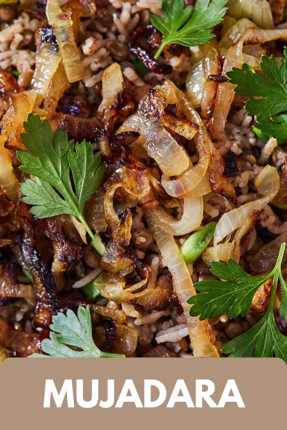 Mujadara - Cooking With Coit